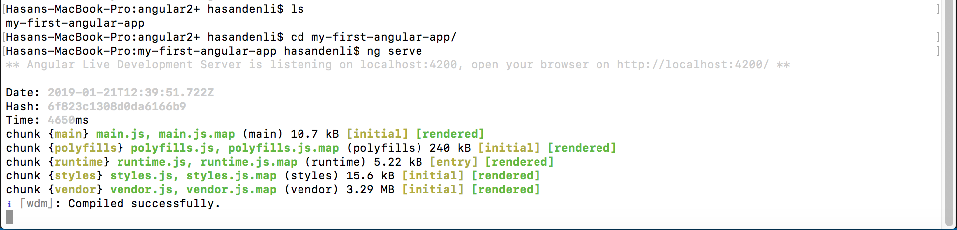 Angular Proje Kurulumu ve Mimari Yapısı - Angular İlk Proje - Mobilhanem