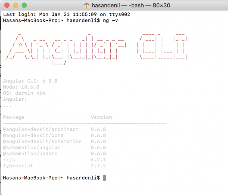 Angular Kurulumu-Angular Ortam (Environment) Hazırlanması-Mobilhanem