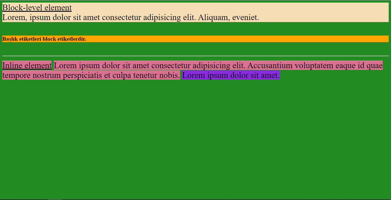Html5 Block Ve Inline Elementer Block Inline Elementler Mobilhanem